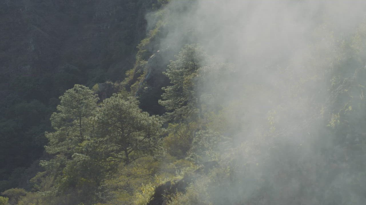 Surface of a mountain with vegetation covered by steam - Free Stock Video