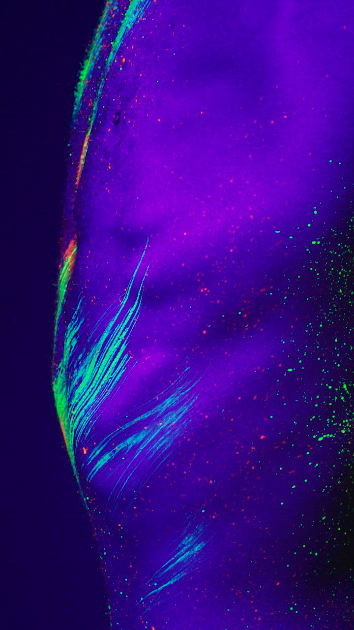 Close shot of a man smeared with fluorescent paint - Free Stock Video