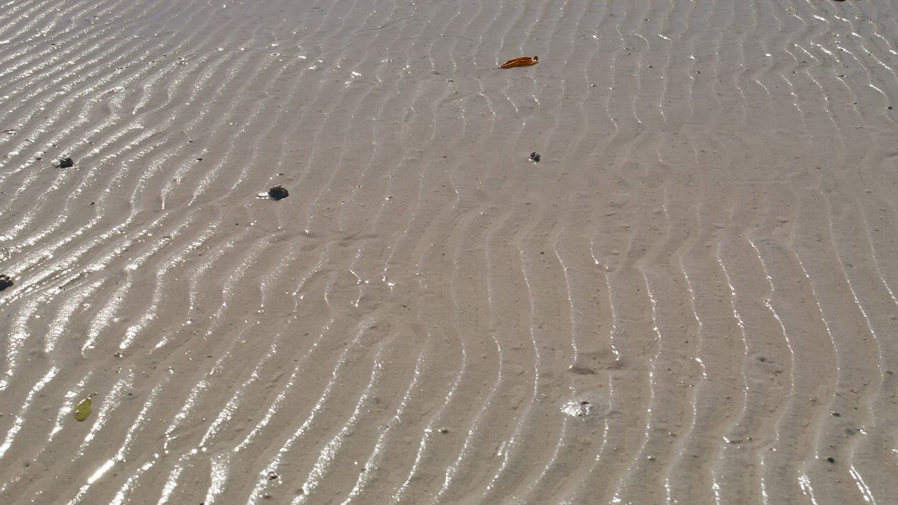 Texture of the wet sand of a beach - Free Stock Video