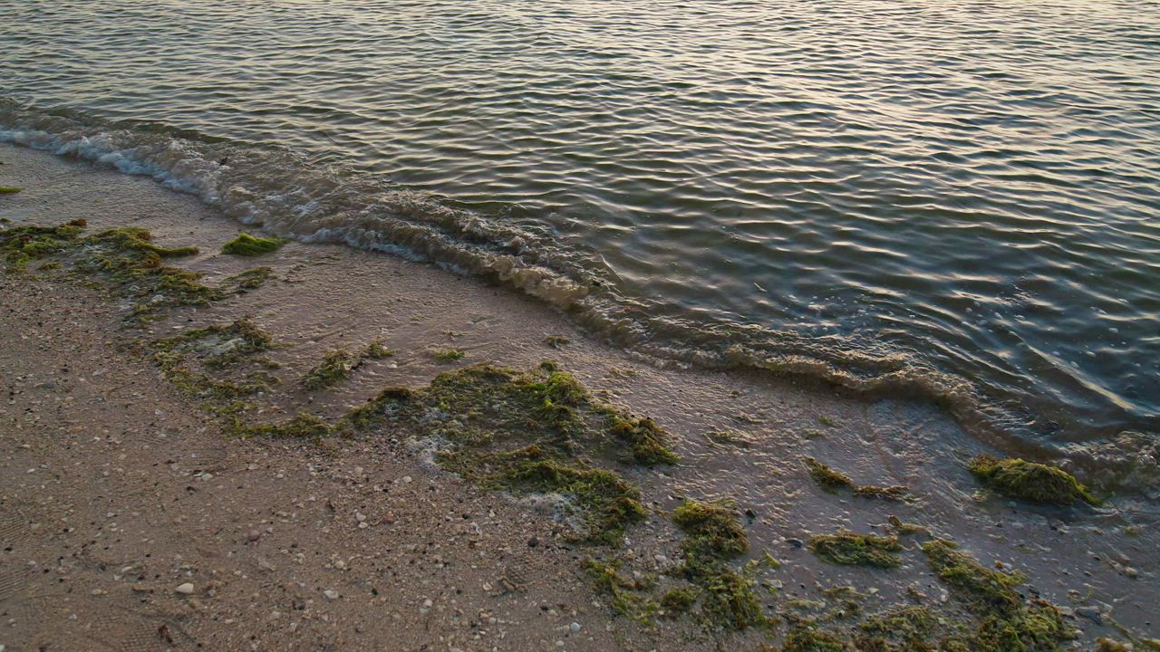 Gentle waves of water arriving at a beach - Free Stock Video