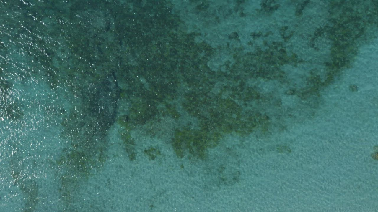 Crystal clear emerald water in a view from high above - Free Stock Video