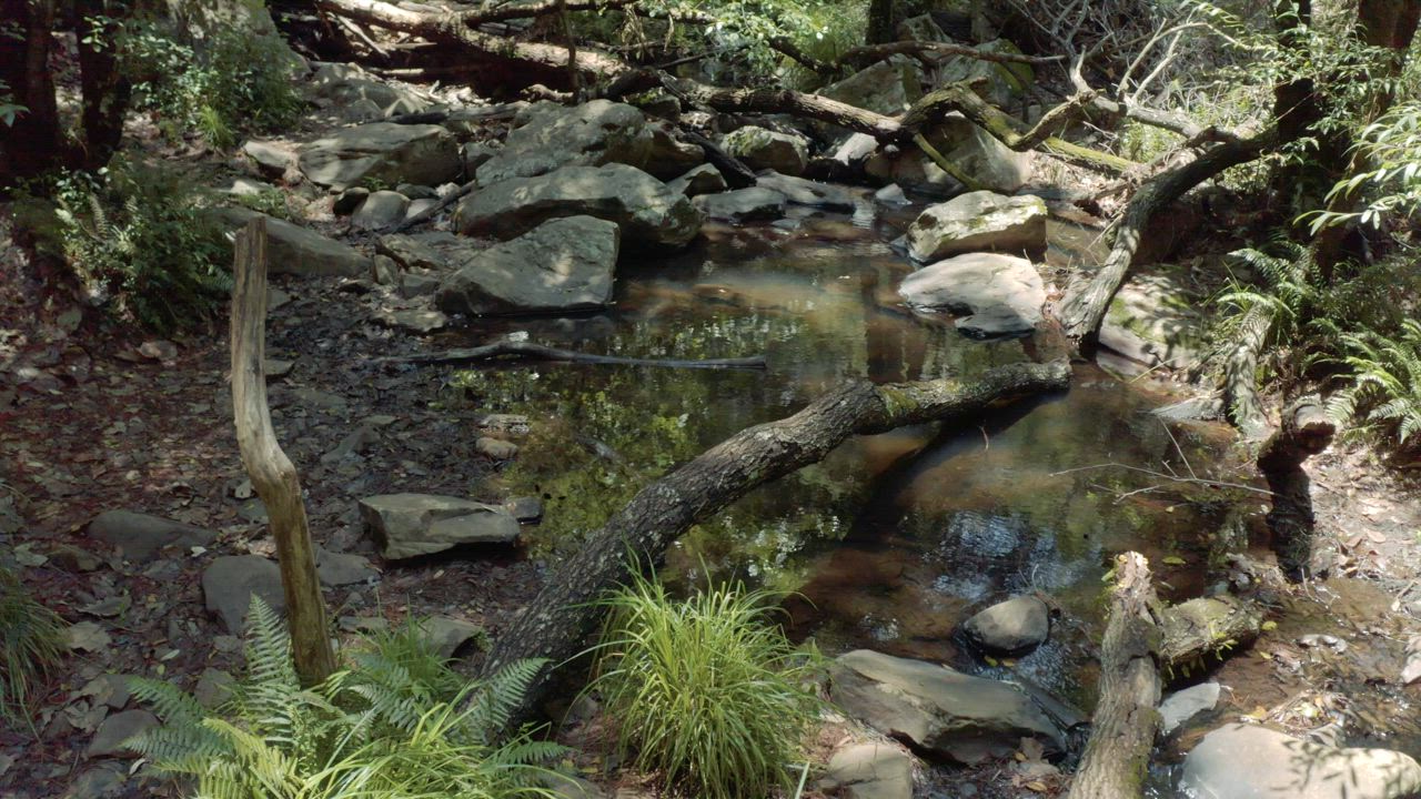 A Stream Backwater Surrounded By Rocks And Jungle Vegatation Free
