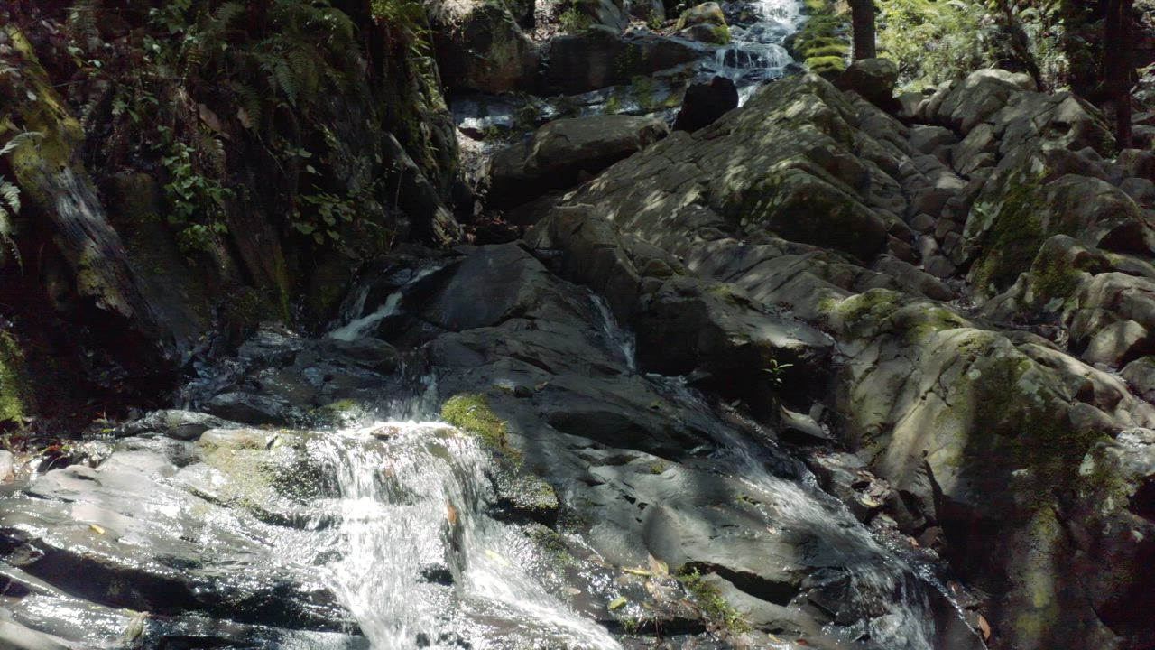 A pristine stream of water running down the jungle rocks - Free Stock Video
