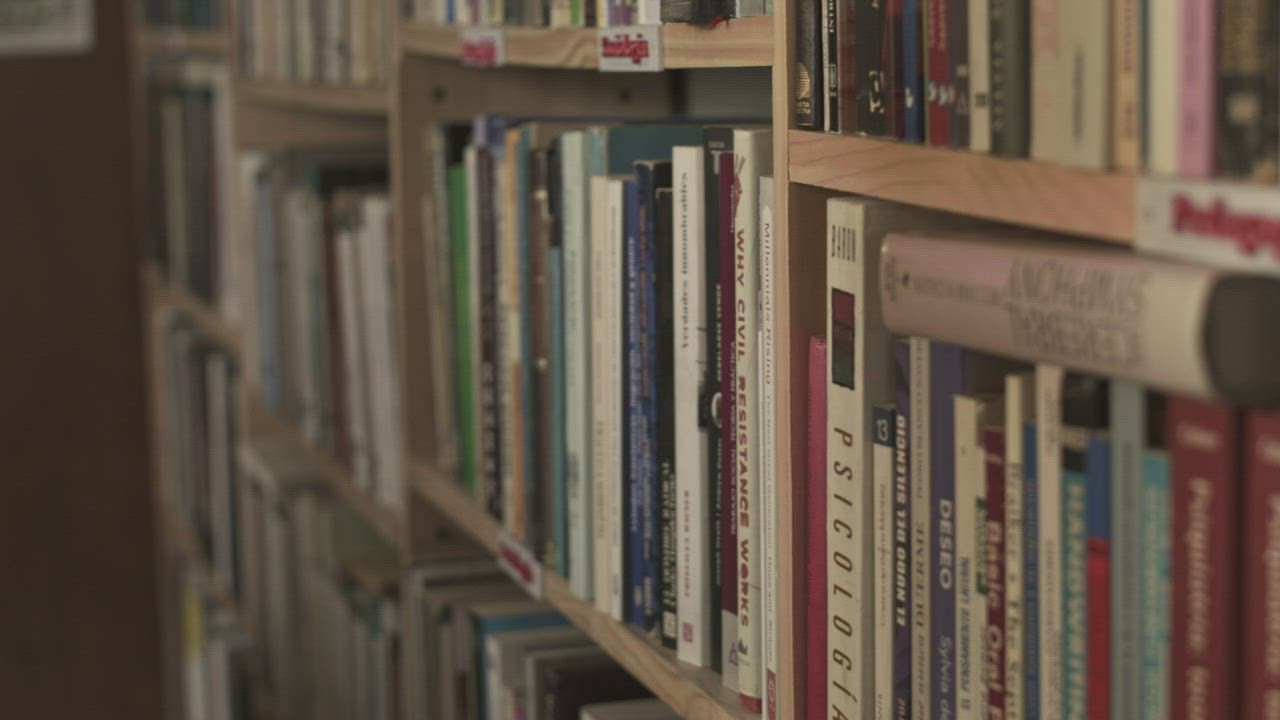 A young student woman picks a book from the library shelf - Free Stock ...