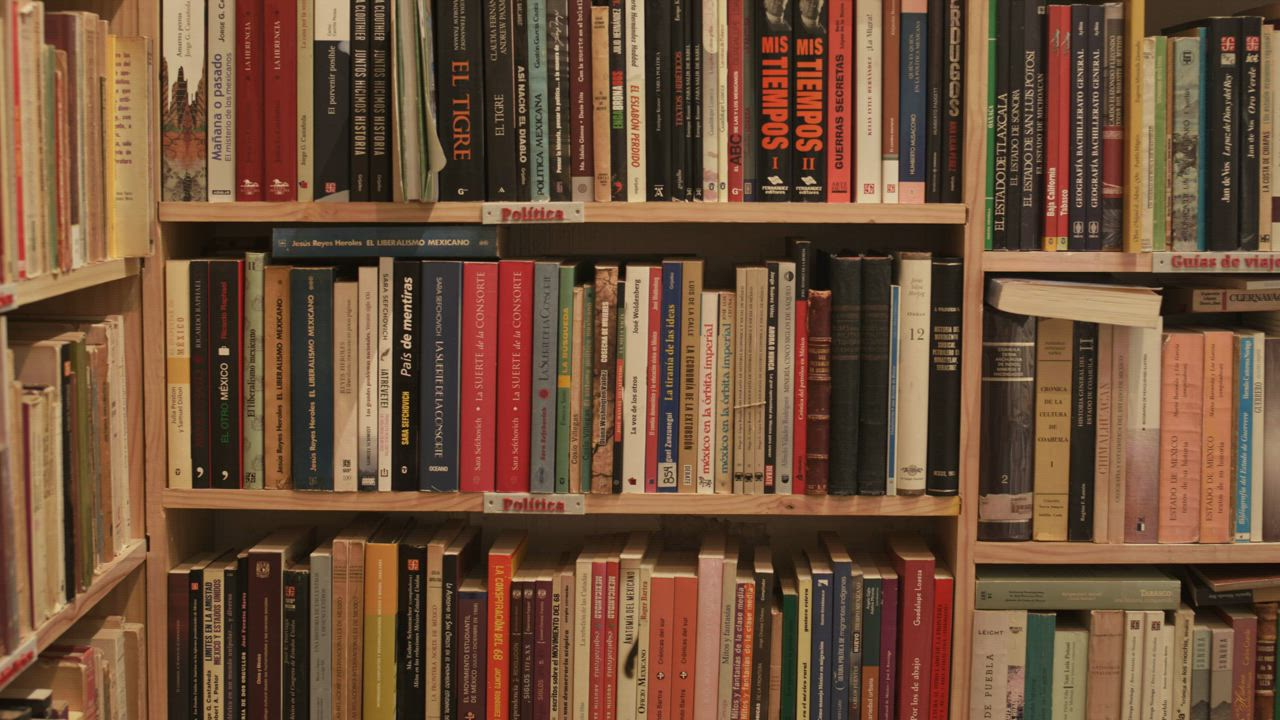 Library shelf full of books - Free Stock Video