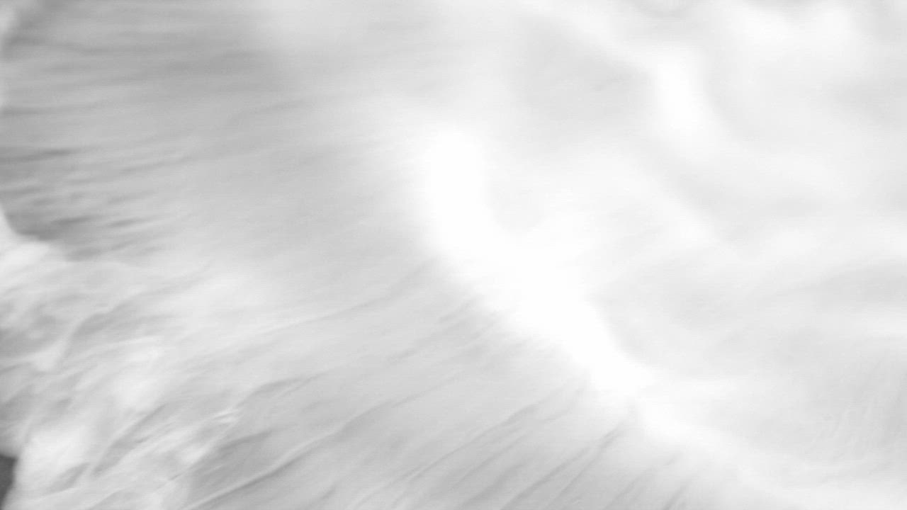 A light mist continuously flows generating a soft light texture over a ...