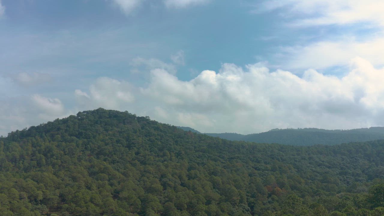 Beautiful shot of a forest seen from the air - Free Stock Video