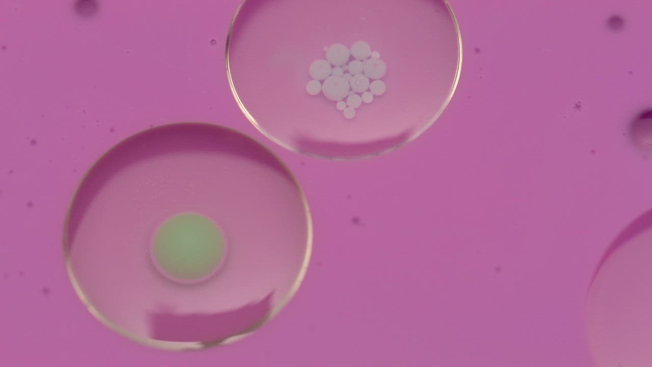 Colorful ink drops on pink paint - Free Stock Video