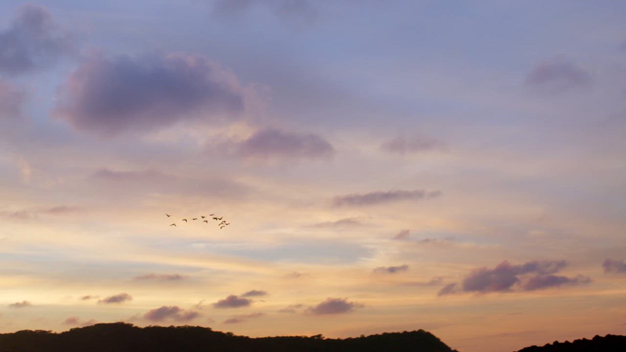 Flock of black birds flying in the sky during sunset - Free Stock Video