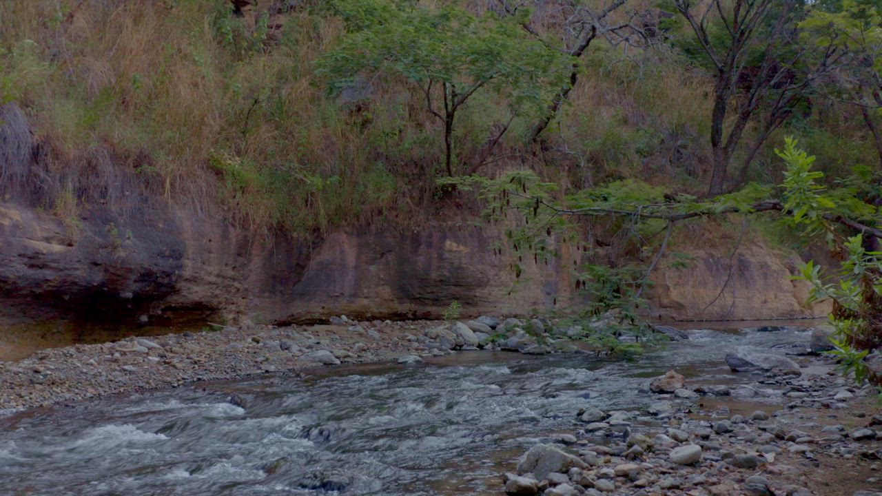A small river flowing freely in the wilderness of the countryside ...