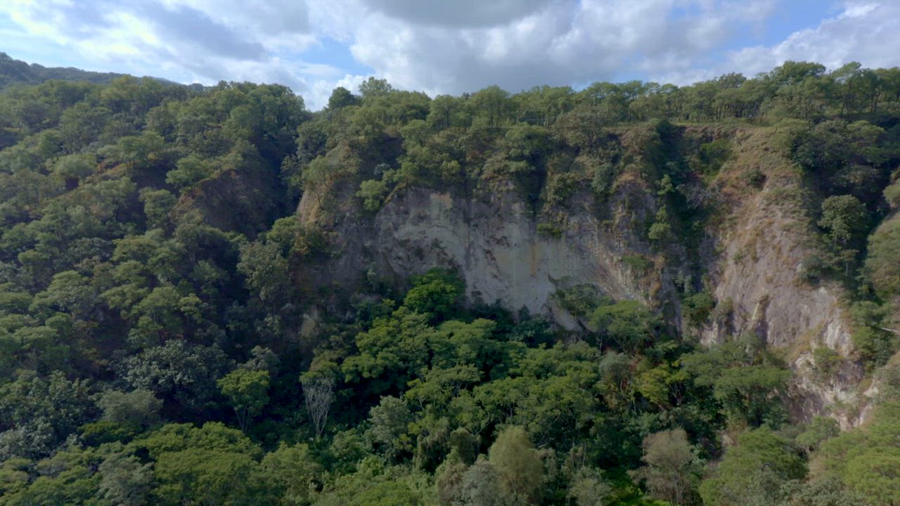 Aerial shot of a a big cliff surrounded by a lush forest on a sunny day ...