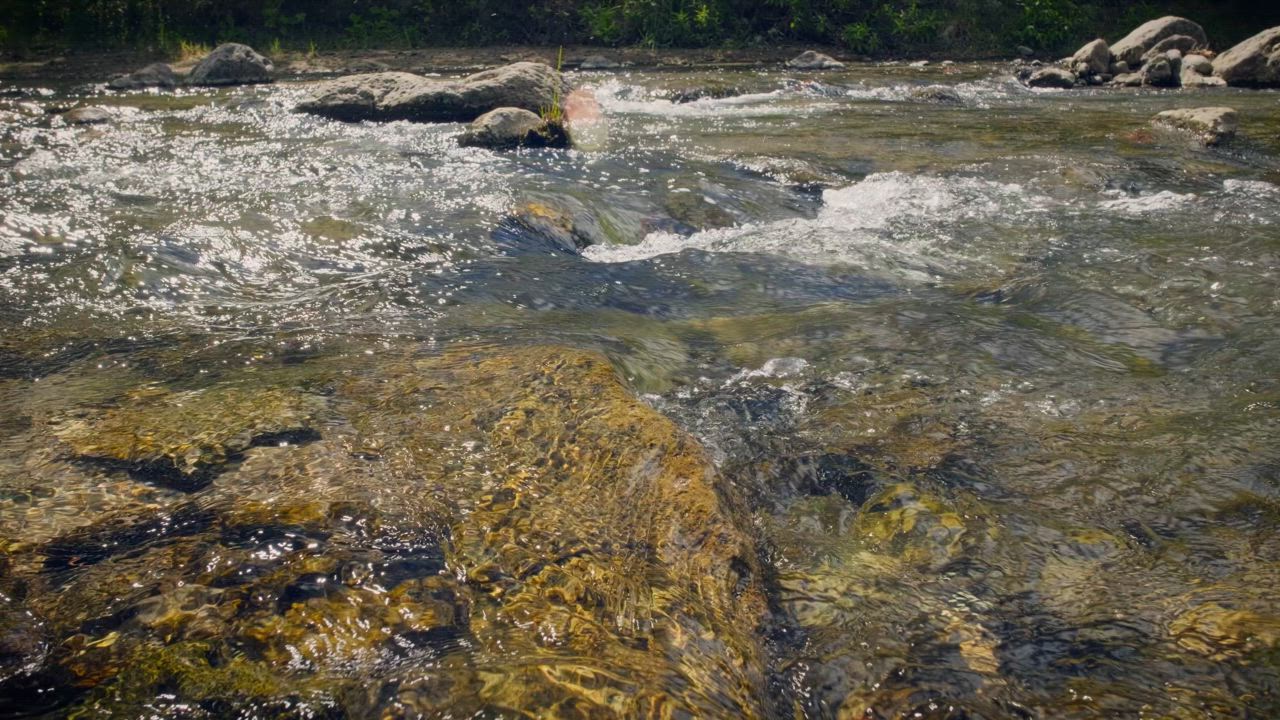 A crystal clear river water flowing on a sunny day - Free Stock Video