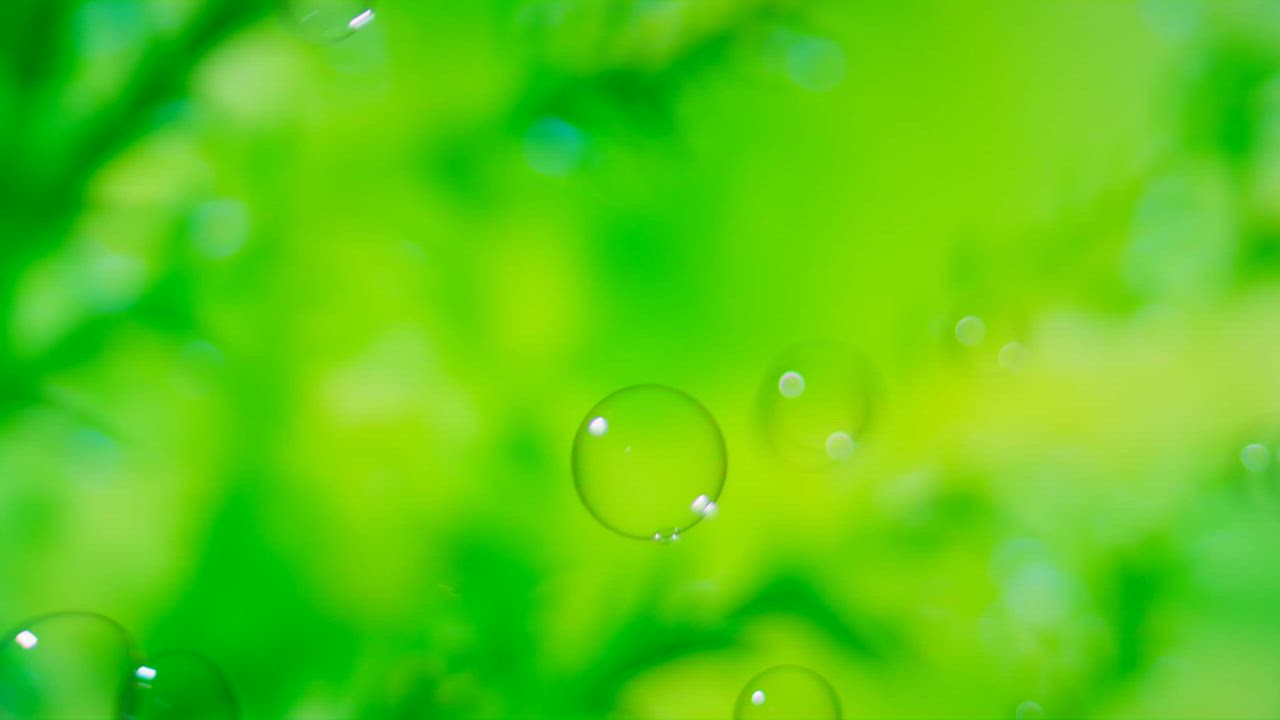 Bubbles floating on a natural green out of focus background - Free ...