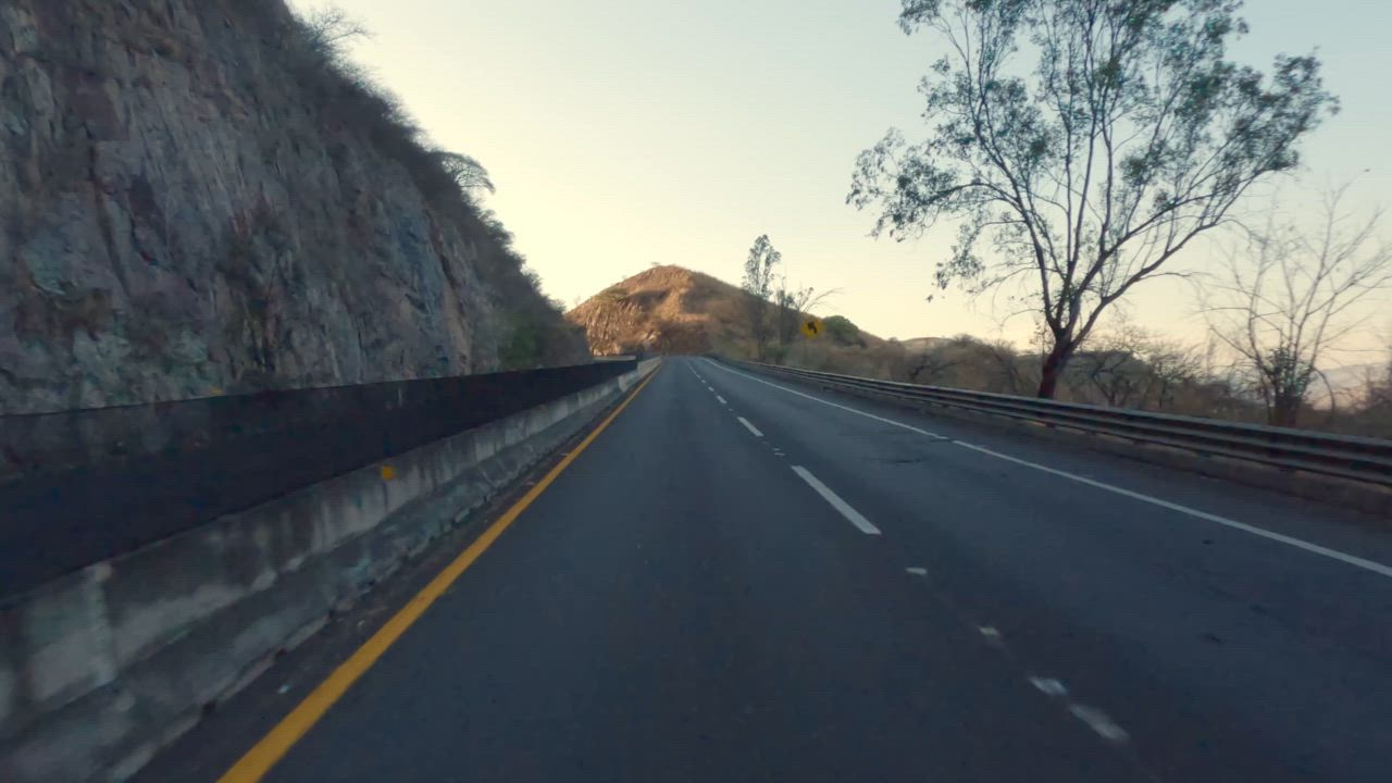 Gliding along a quiet asphalt road at dawn, the soft, golden light of ...