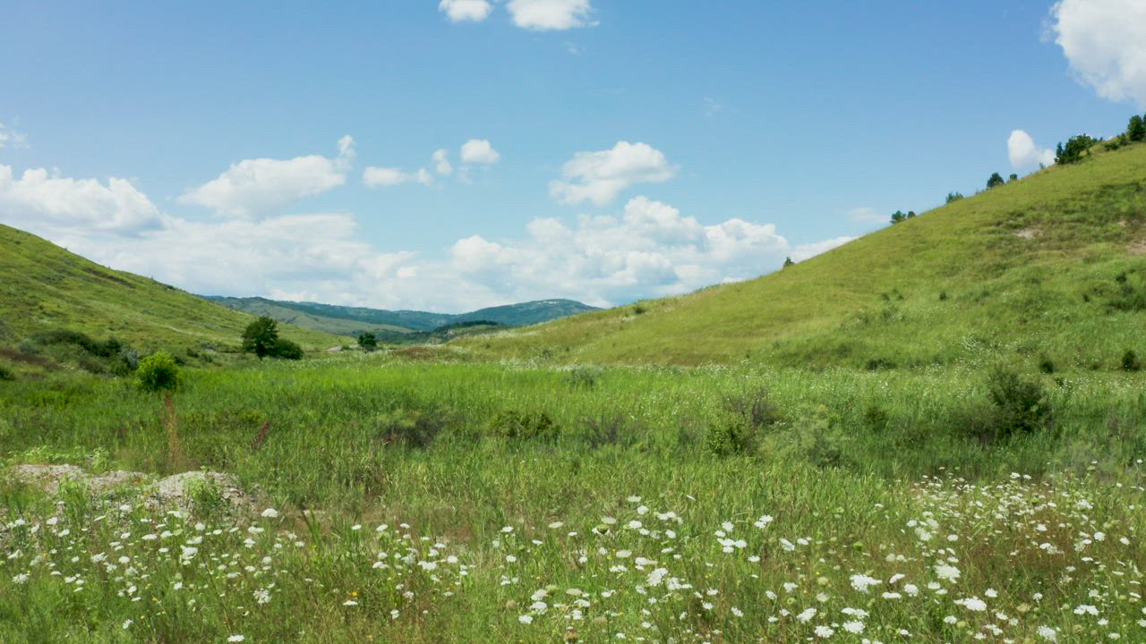 Cinematic aerial view of countryside meadow - Free Stock Video