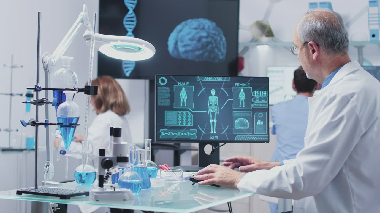 Human diagram on a computer screen - Free Stock Video