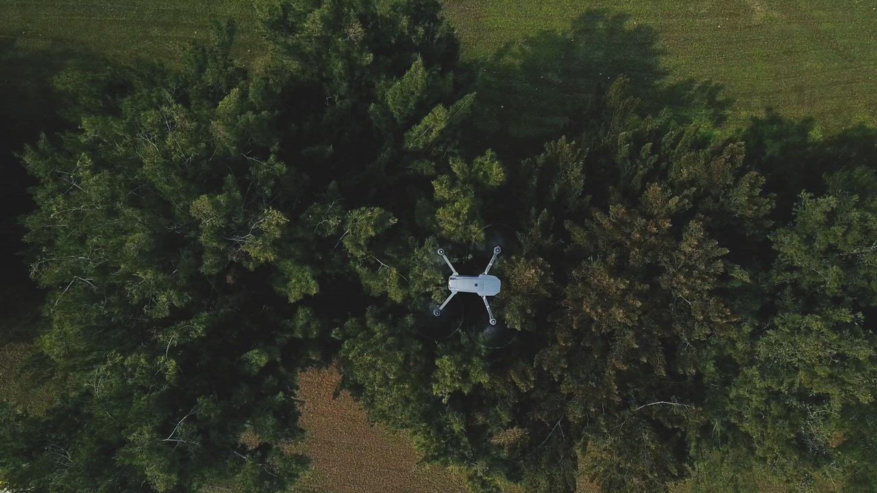 Drone view over trees - Free Stock Video