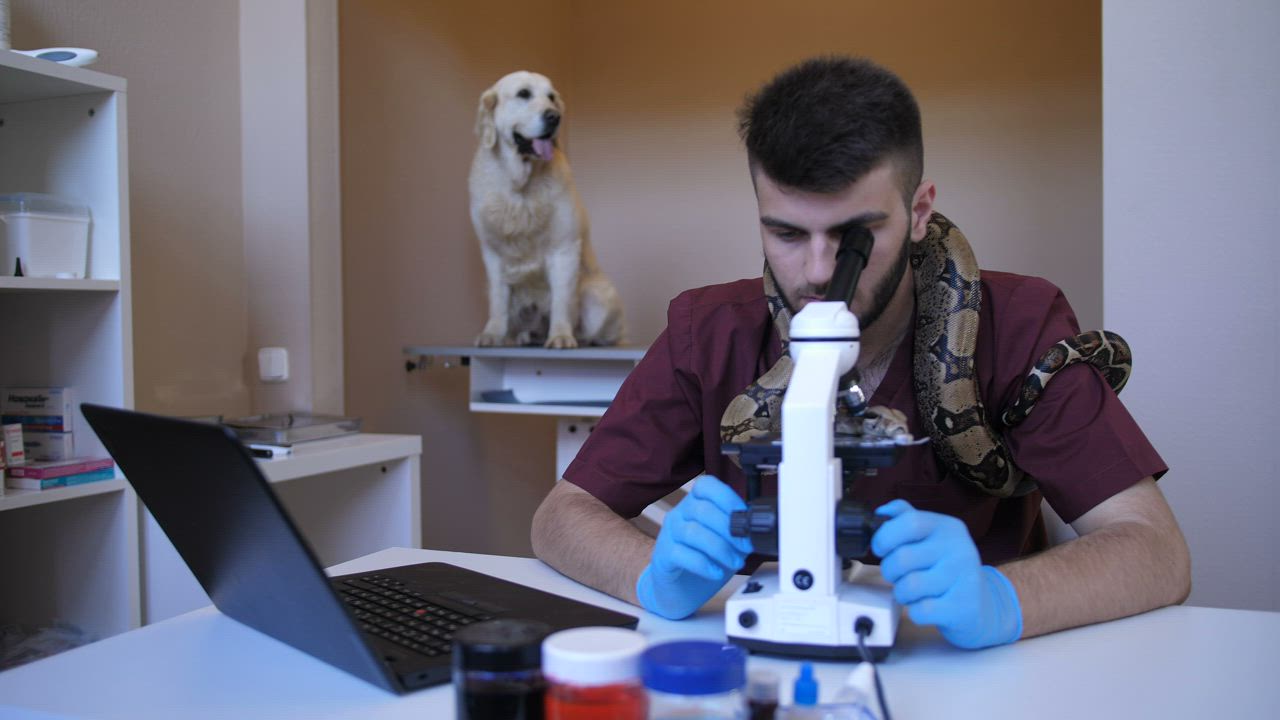 Vet using a microscope in his clinic - Free Stock Video