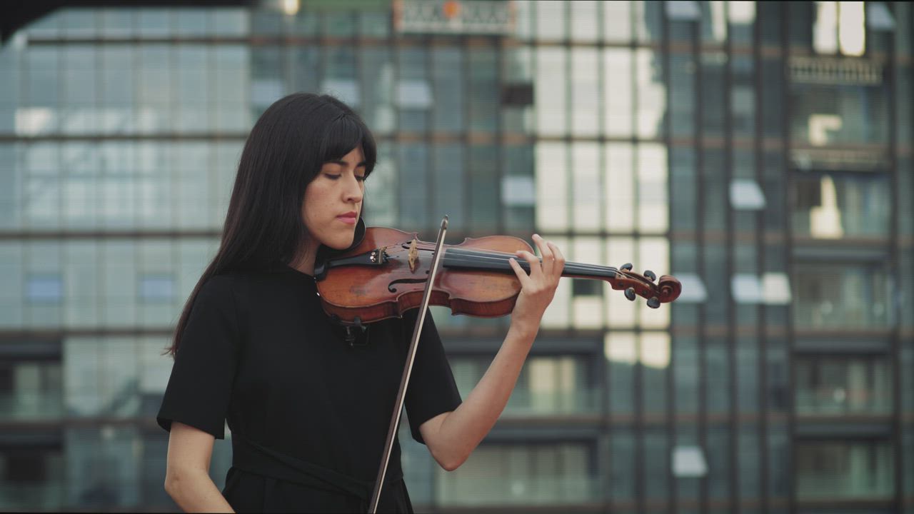 Woman playing violin - Free Stock Video