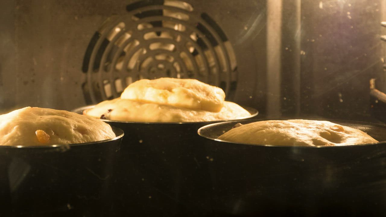 Home made bread rising inside the oven - Free Stock Video