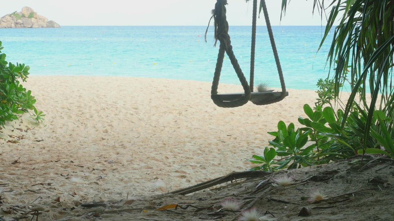 A rope swings on a tropical beach - Free Stock Video