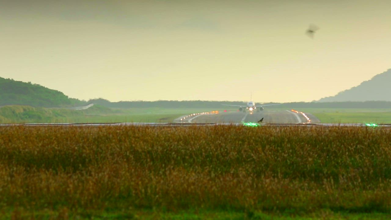 Airplane take off from the track - Free Stock Video