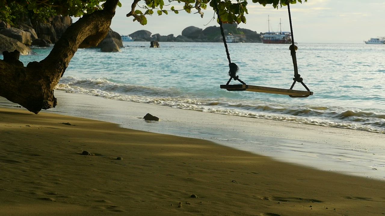 Rope swing on the beach at sunset - Free Stock Video
