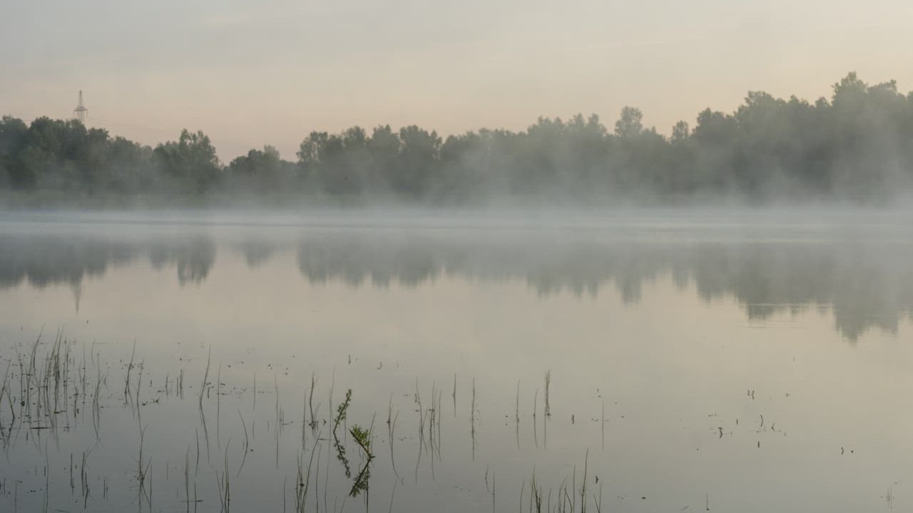 Mist in the lake - Free Stock Video