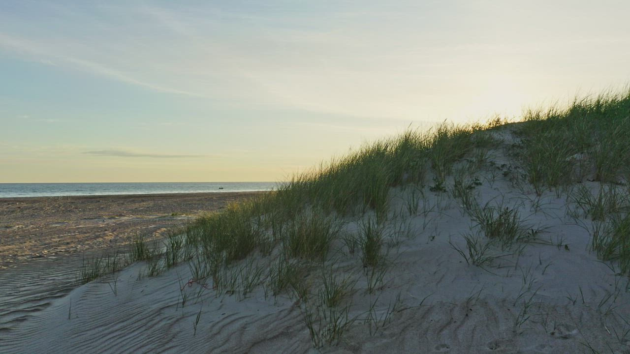 Distant man at the beach - Free Stock Video