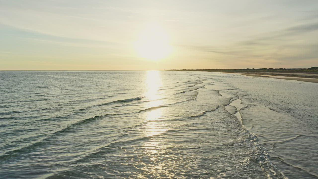 Low tide at the beach - Free Stock Video