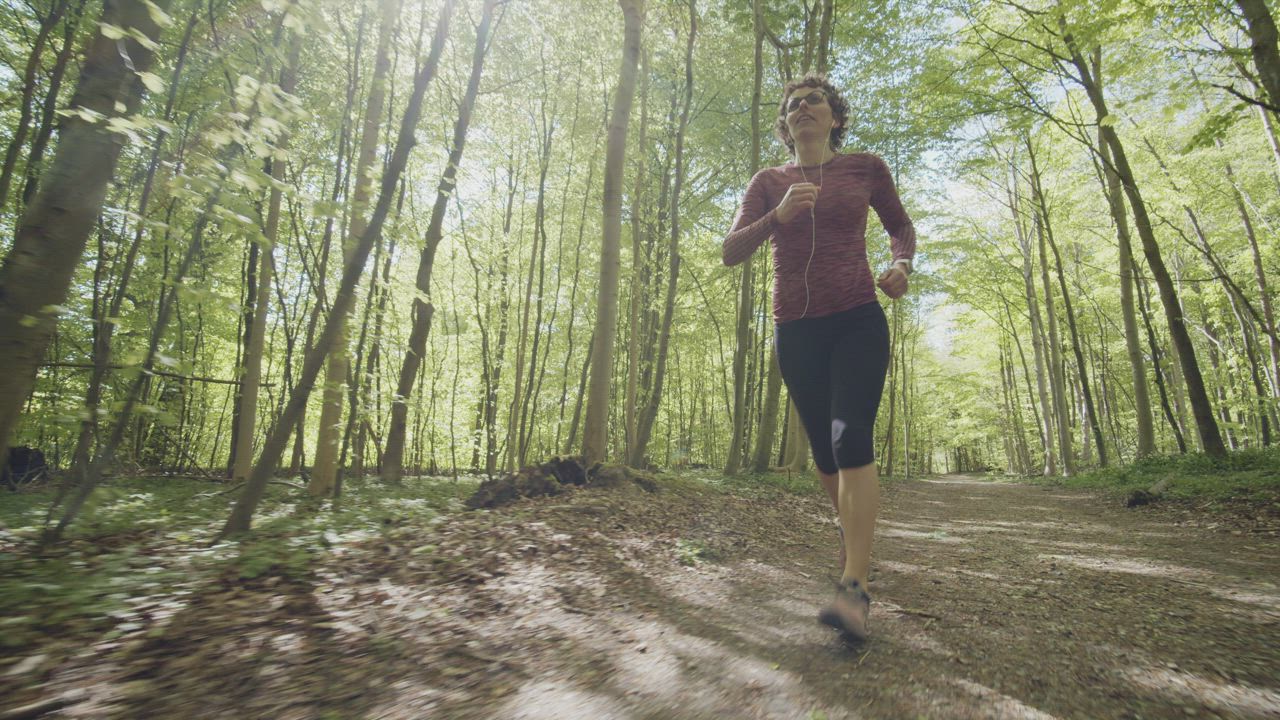 Quickly running through woodland - Free Stock Video