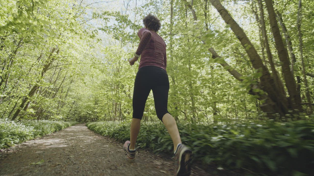 Slowly running through a forest path - Free Stock Video