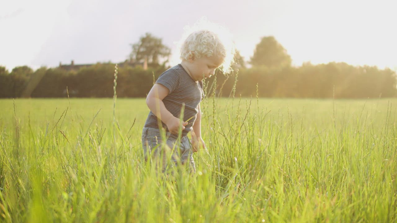 Toddler picking grass - Free Stock Video