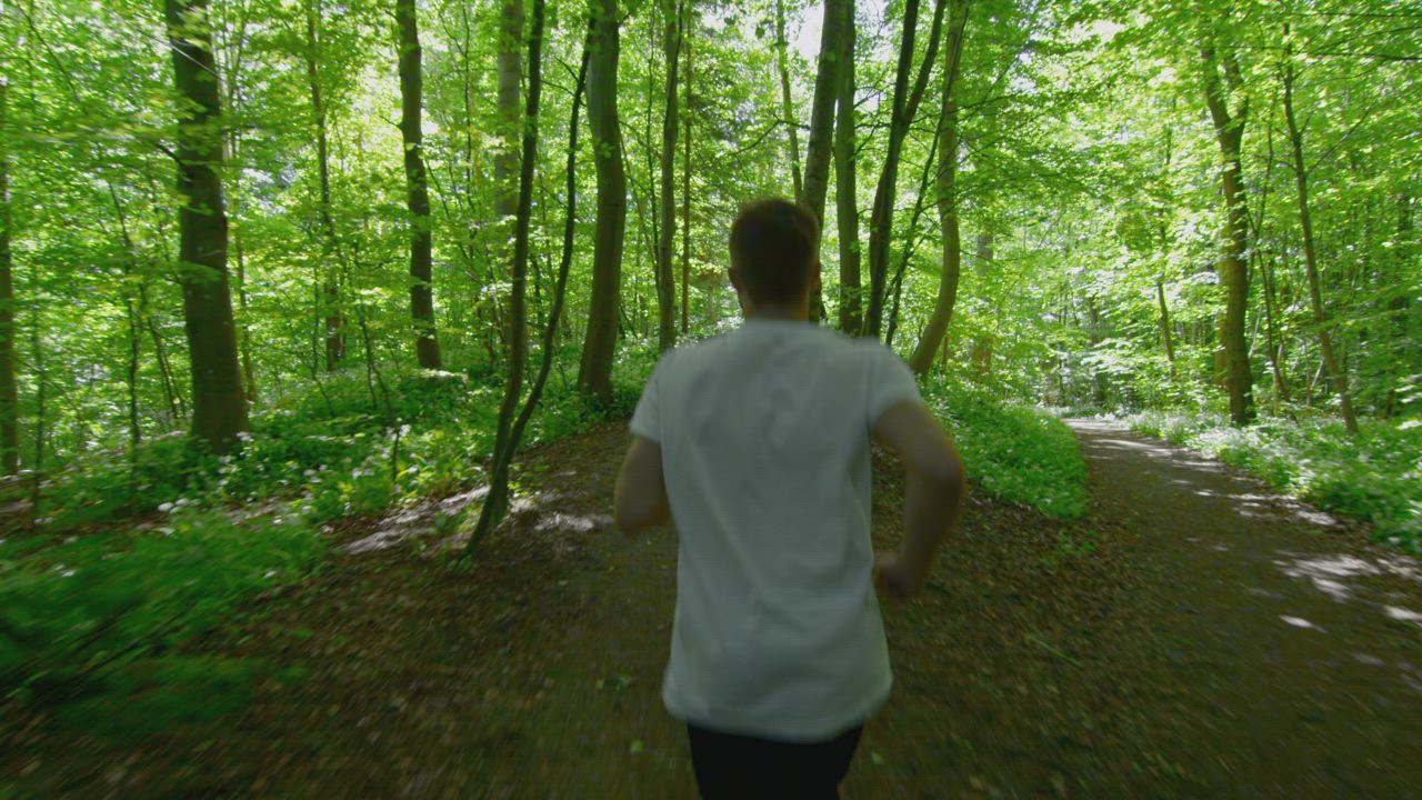 Man jogging through the trees - Free Stock Video