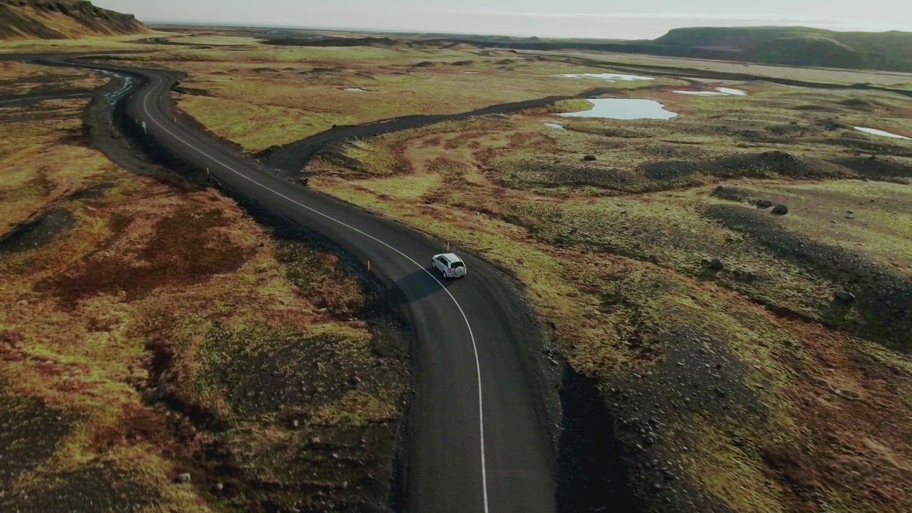 Driving through moss covered fields - Free Stock Video