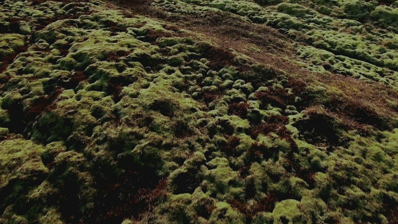 Lava field covered with grass - Free Stock Video