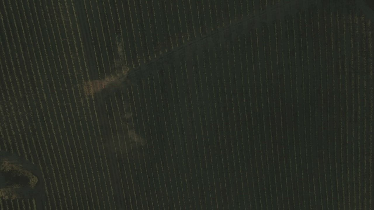 Tractor working in a dusty field - Free Stock Video