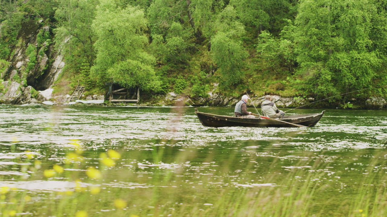 Two men fishing in a river - Free Stock Video