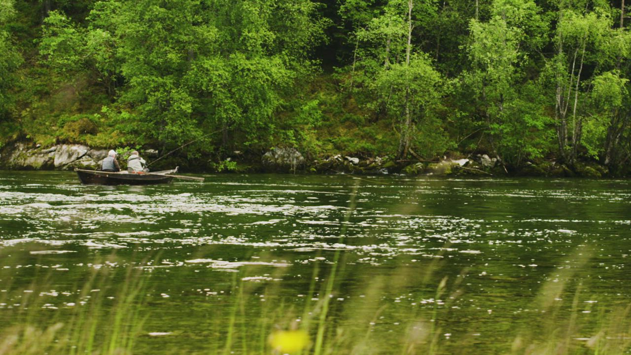 Slow flowing river - Free Stock Video