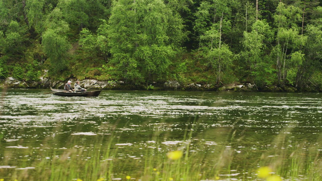 Rowing a boat down the river - Free Stock Video