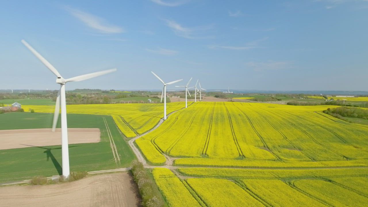 Wind farm in summer - Free Stock Video