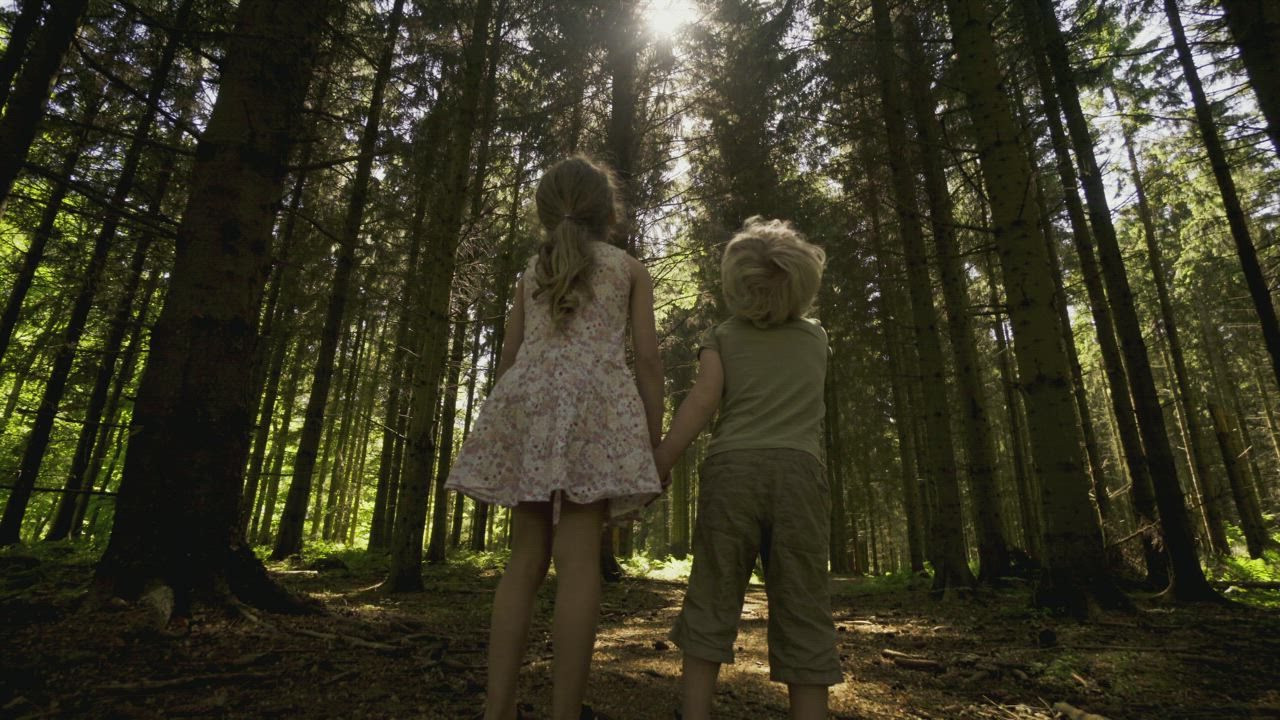 Kids looking around a forest - Free Stock Video