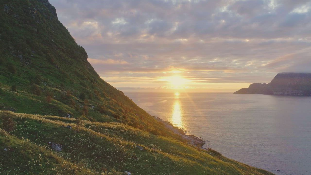 Flyover lush spring hillside toward sunset on sea - Free Stock Video