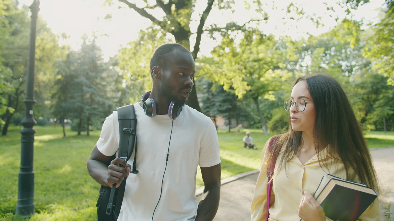 Friends chat while walking through sunlit park - Free Stock Video