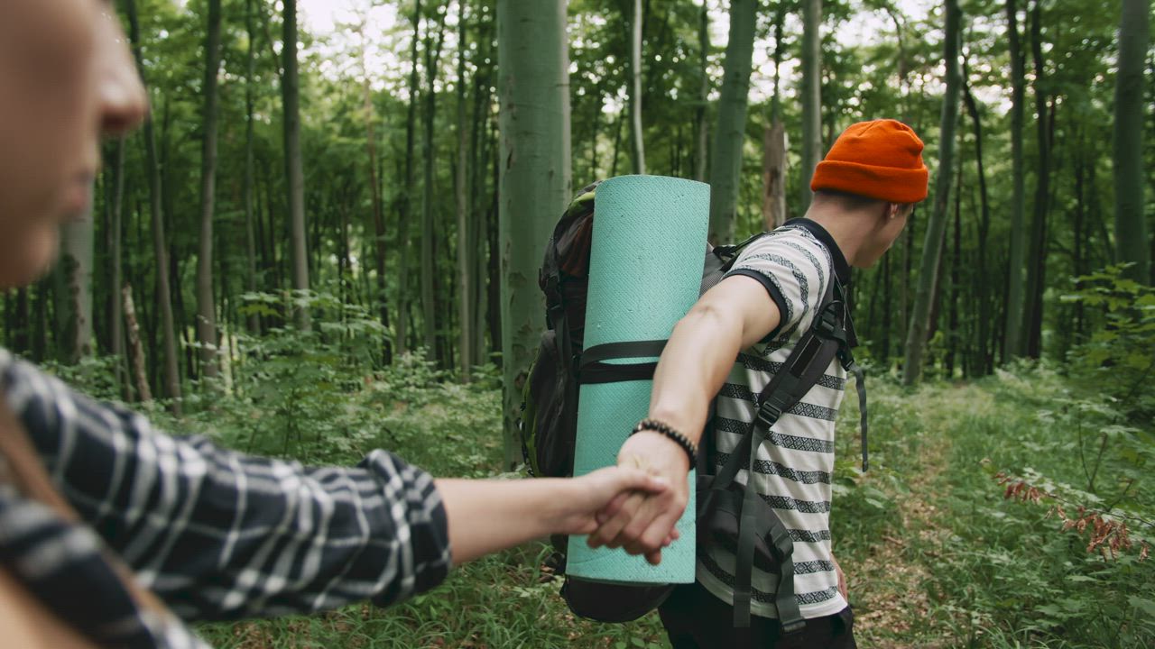 Couple of explorers in the forest - Free Stock Video