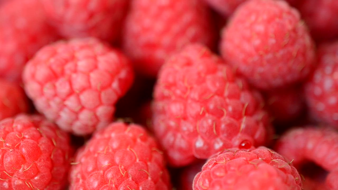Texture of raspberrys, close up view - Free Stock Video