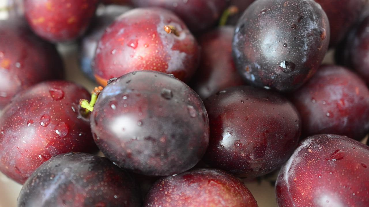 Wet plums texture - Free Stock Video