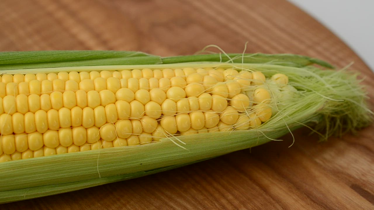 Texture of an ear of corn - Free Stock Video