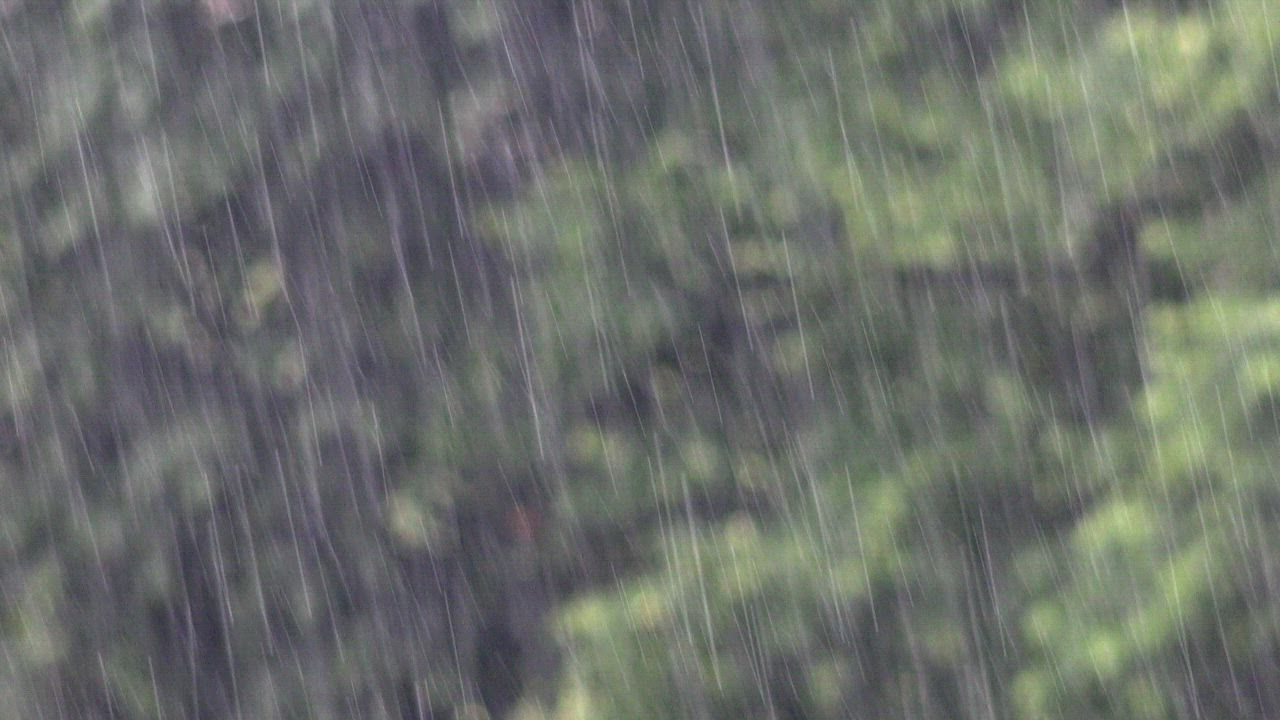 Heavy rain falling - Free Stock Video