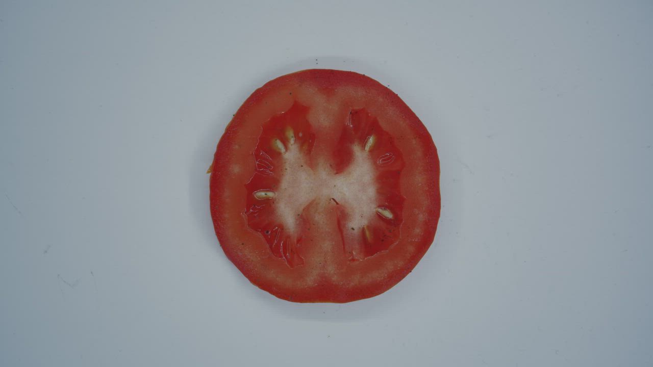Tomato decomposing time lapse - Free Stock Video